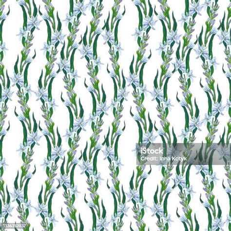 튜브 로즈 가지 매끄러운 패턴 수채화 배경에 의약 향수 및 화장품 식물 벽지 인쇄된 자료 표지판 포스터 엽서 포장을 사용하십시오 0명에 대한 스톡 벡터 아트 및 기타 이미지