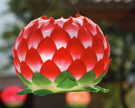 Lotus Lantern Craft Workshop Cape May County Library