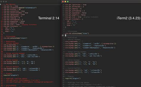 Colors More Accurate In Macos Terminal Than Iterm2 On Mac M2 Rneovim