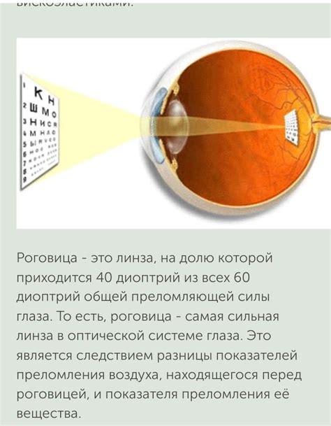 ЗАДАНИЯ 1 A Рассмотрите рисунок Что обозначено цифрами 3 4 7 8 9 4 3 5 8 9ПОМОГИТЕ