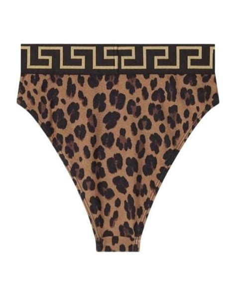 Versace Greca Trim Leopard Print Bikini Bottoms Lyst