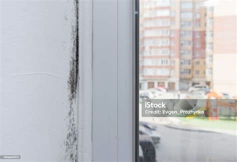 환기 습기 아파트의 추위 창틀의 설치 불량 겨울에는 방 난방이 부족한 문제 Pvc 창 근처 코너 벽에 검은 곰팡이와 곰팡이 0