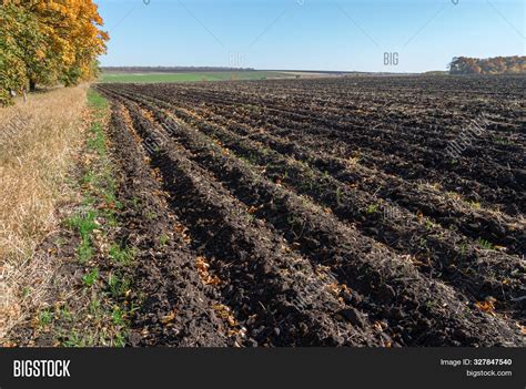 Black Soil Ukraine Image And Photo Free Trial Bigstock