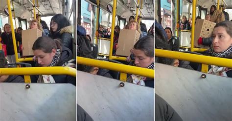 Una Mujer Subió Al Colectivo Con Su Perro Y Terminó Peleando Con Los