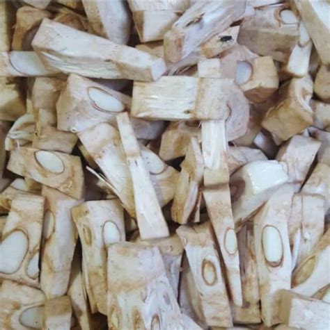 Nangka Muda 1 Kg Pasar Segar