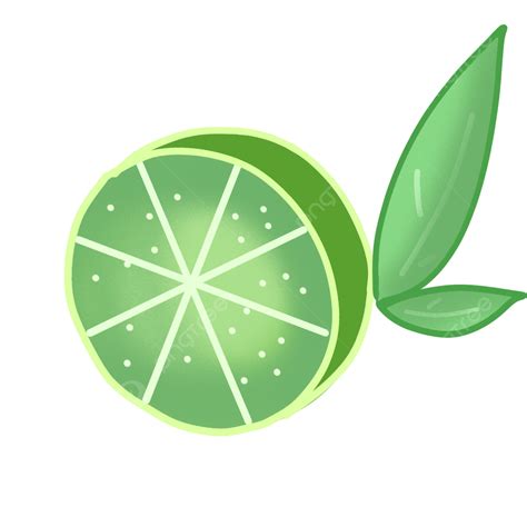 라임 그림 라임 주황색 과일 Png 일러스트 및 Psd 이미지 무료 다운로드 Pngtree