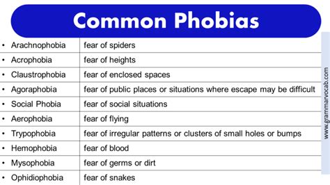 List Of Phobias Funny Phobias Rarest Phobias Weird Phobias Pdf