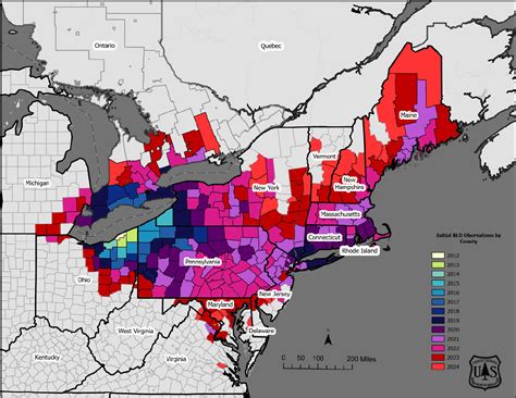 Redirecting To Resource Beech Leaf Disease Maryland
