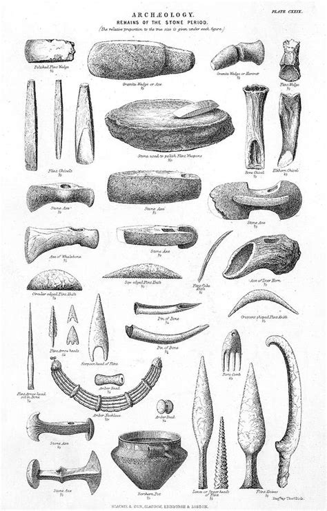 Stone Age Worksheets