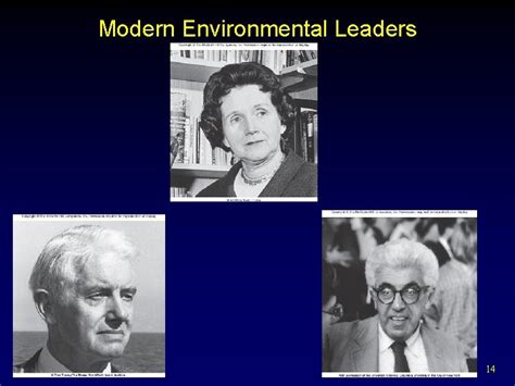 Chapter 01 Lecture Outline William P Cunningham University