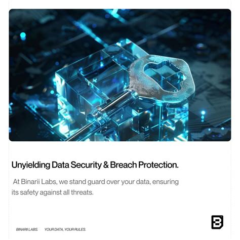 Binarii Labs On Linkedin Businesssecurity Futureproofwithbinariilabs Dataprotection