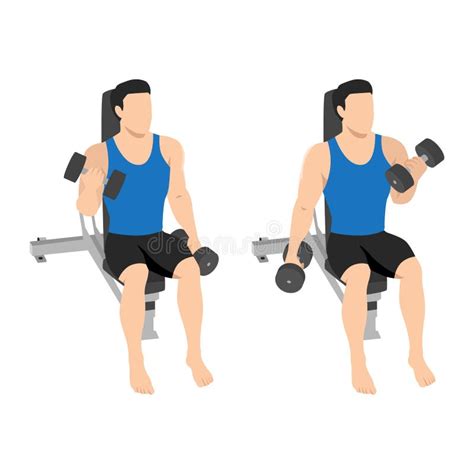 Seated Bicep Curls Stock Illustrations Seated Bicep Curls Stock Illustrations Vectors