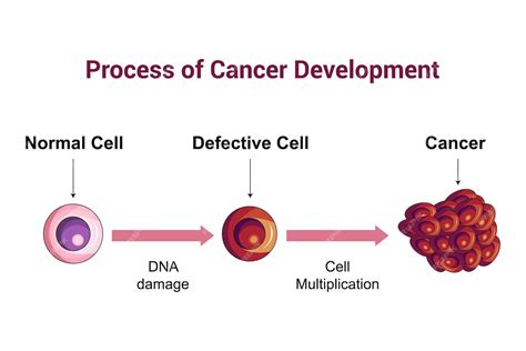 Premium Vector Process Of Cancer Cell Development Science Diagram