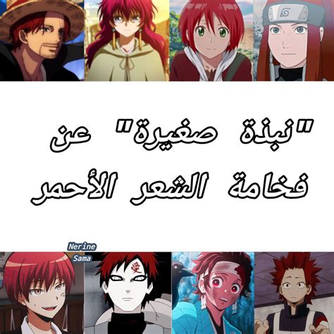 ركزولي على صغيرة 🔥