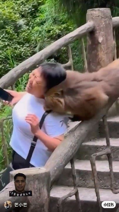 Shortvideo Short Shorts Youtube