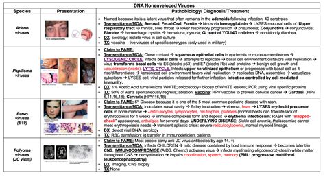 Enveloped Dna Virus Examples At Deborah Grant Blog