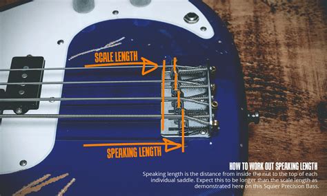 Bass Guitar Scale Length The Definitive Guide 2024 Blog Strings Direct
