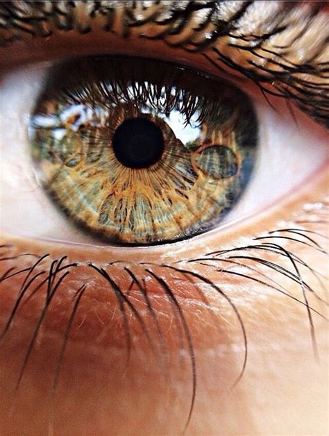Eye Reference Eyes Artwork Beautiful Eyes Color Eye Photography