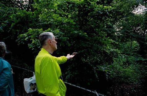 Проект Ежедневный отчет Лондон Гайд парк слепой мужчина кормит птицу июнь 1999 год