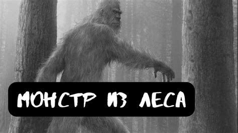 Монстр из леса Youtube