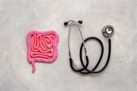 소화 결장 시스템 건강 개념입니다 청진기로 플라스틱으로 만든 내장 모양 염증에 대한 스톡 사진 및 기타 이미지 염증 창자 보살핌 Istock