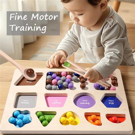 Montessori Shape And Color Sorting Game By Oliver