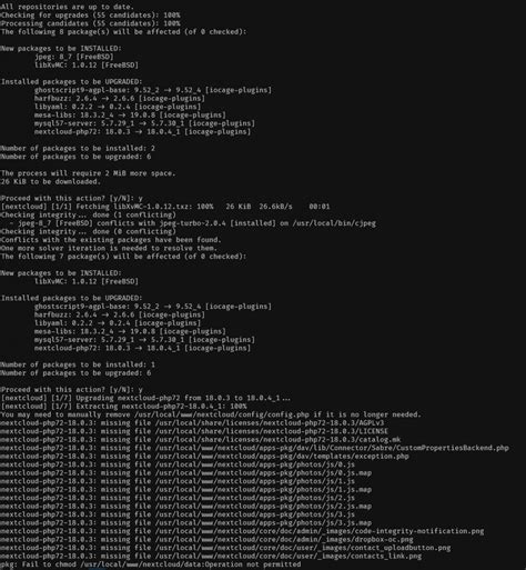Pkg Update Error After Nextcloud Internal Upgrade Truenas Community