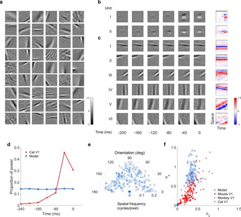 Figure Supplement 1 Visual Rfs And Population Measures For Real V1 Download Scientific