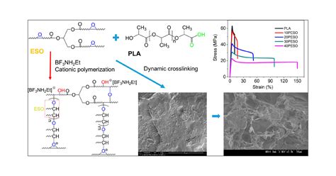 Manufacturing Of Thermally Remoldable Blends From Epoxidized Soybean Oil And Polylactic Acid