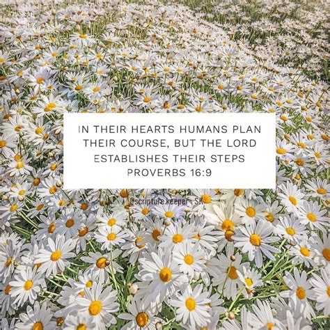 Proverbs Proverbs 16 9 Bible Verses Proverbs