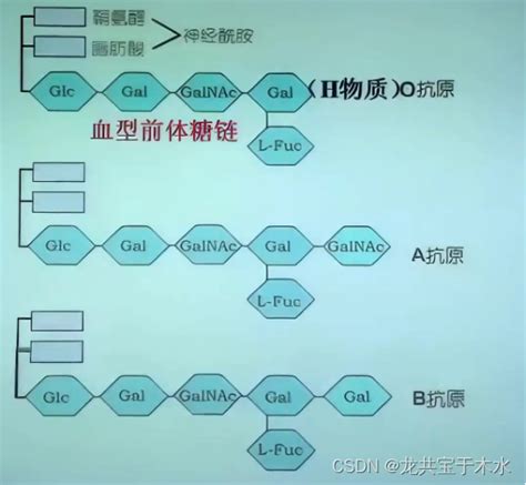 2生物化学与分子生物学——糖类 六元环糖的编号 Csdn博客