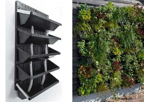Groene Gevels Ingroen Daken En Gevels