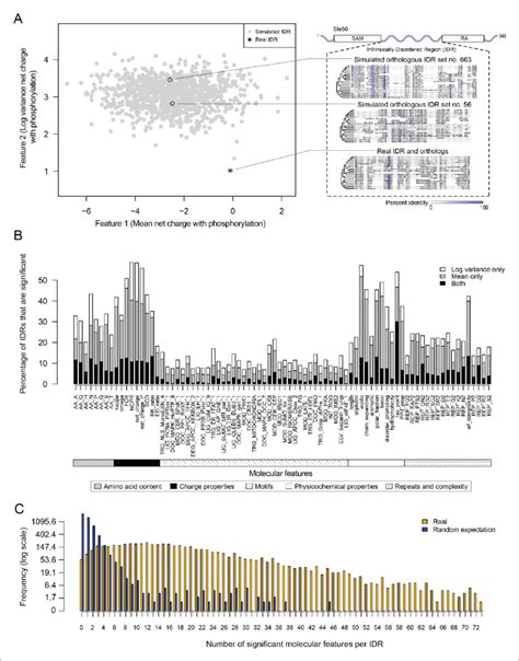 Proteome Wide Evolutionary Analysis Reveals Evolutionarily Constrained