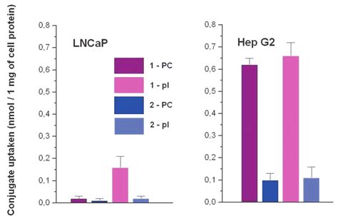 Uptake And Internalization Of Conjugates By Lncap And Hep G2 Cells Download Scientific Diagram