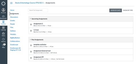 Accessing The Similarity Report Canvas Plagiarism Framework