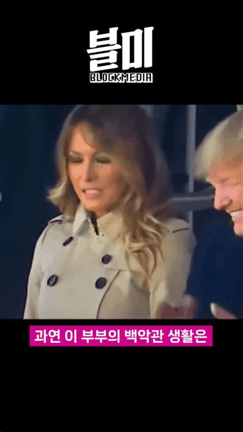 멜라니아 토큰 폭락 해이든 데이비스 또 한 번의 ‘러그풀인가