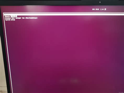 双系统 移动硬盘安装ubuntu详细流程与避坑 acpi error和卡在grub） ubuntu安装出现grub致命错误 csdn博客