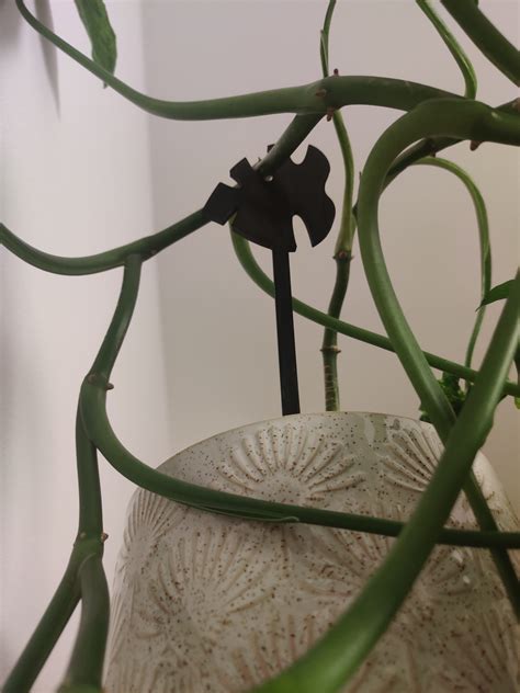 Plant Leaf Holder By K3dy Download Free Stl Model