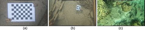 Example Of Image Footage With Refraction Adjustment In A Underwater Download Scientific