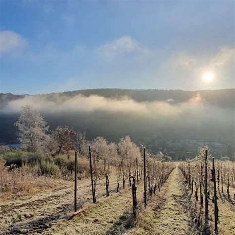 Weingut Weingut Emil Franz