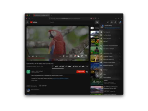 Svg Replacer V03 Best Extensions For Firefox