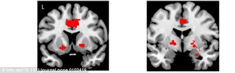 Pornography Gives Sex Addicts The Same High As DRUGS But Isn T Addictive Daily Mail Online