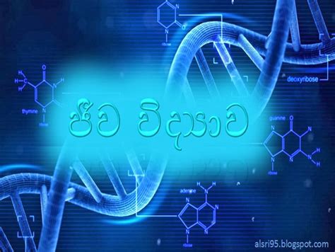 උසස් පෙළ ජීව විද්‍යාව January 2014