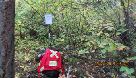 Forest Fuel Characterization At The Quesnel Airport Fuel Management Treatment Unit 14a