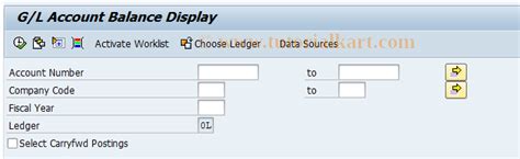 FS N SAP Tcode Balance Display