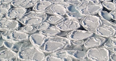 Development Of Sea Ice Australian Antarctic Program