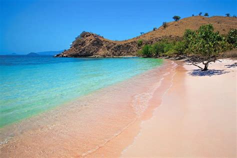 Flores Een Ongerepte Paradijs In Indonesië Reis Expert Nl