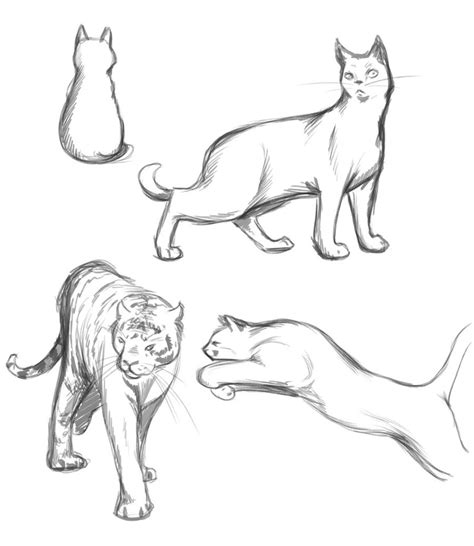 Cat Drawing Poses At Getdrawings Free Download