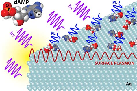 Scheme Representing The Effect Of Plasmonic Enhancement In The Pl Of Download Scientific