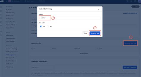 Generating API Keys Enabling API Access RunCloud Docs
